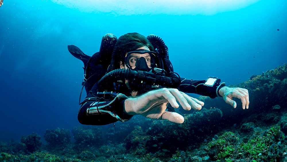 TDI Courses - Sea and Sea