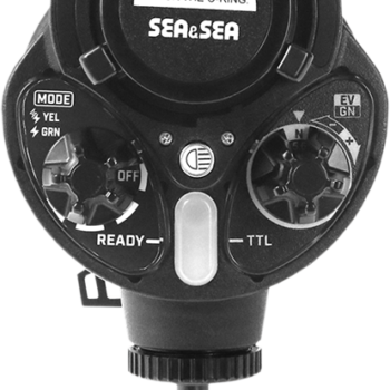YS-D3 Strobe DUO Torch from SEA & SEA